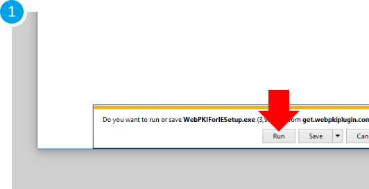 Lacuna Web PKI Setup
